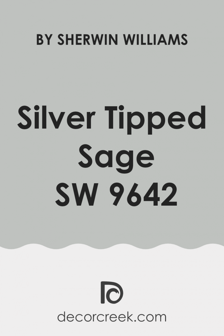 Silver Tipped Sage SW 9642 Paint Color by Sherwin Williams - DecorCreek