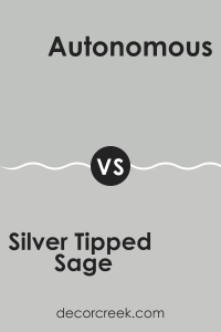 Silver Tipped Sage SW 9642 Paint Color by Sherwin Williams - DecorCreek