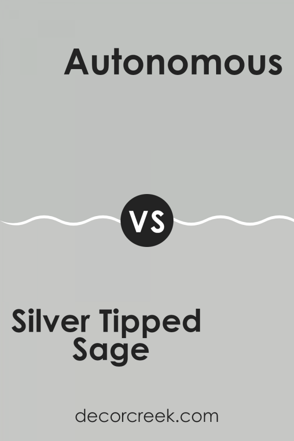 Silver Tipped Sage SW 9642 Paint Color by Sherwin Williams - DecorCreek