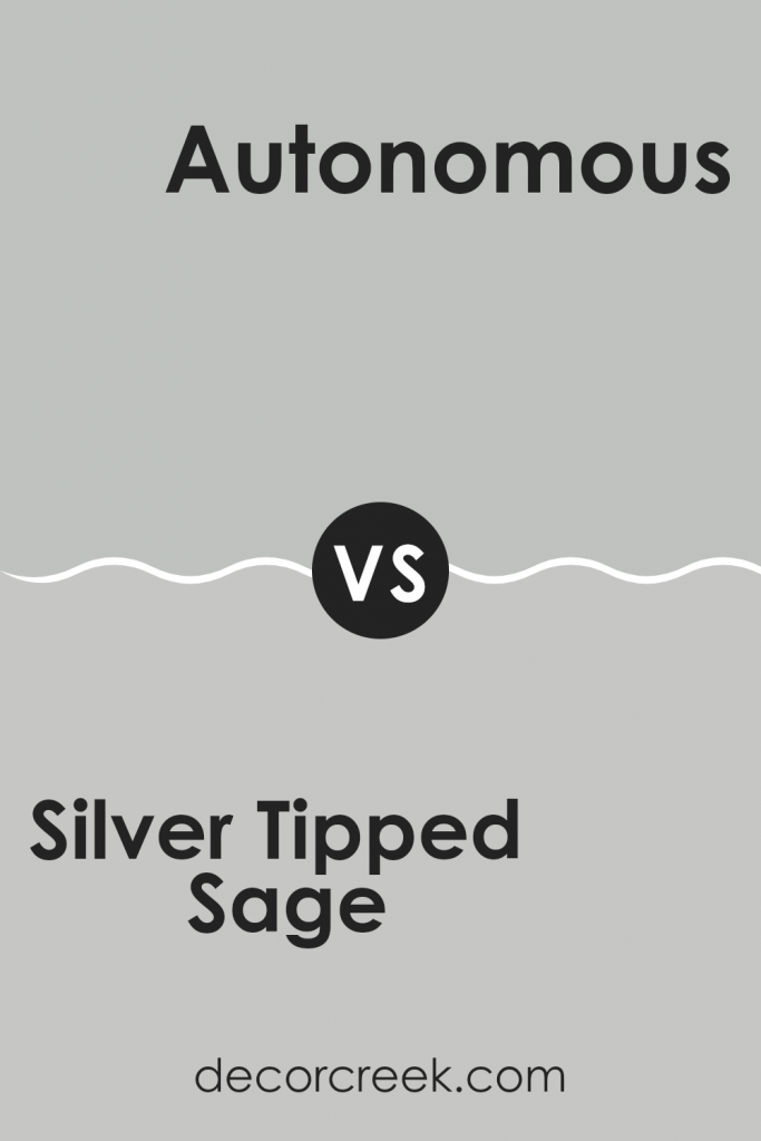 Silver Tipped Sage SW 9642 Paint Color by Sherwin Williams - DecorCreek