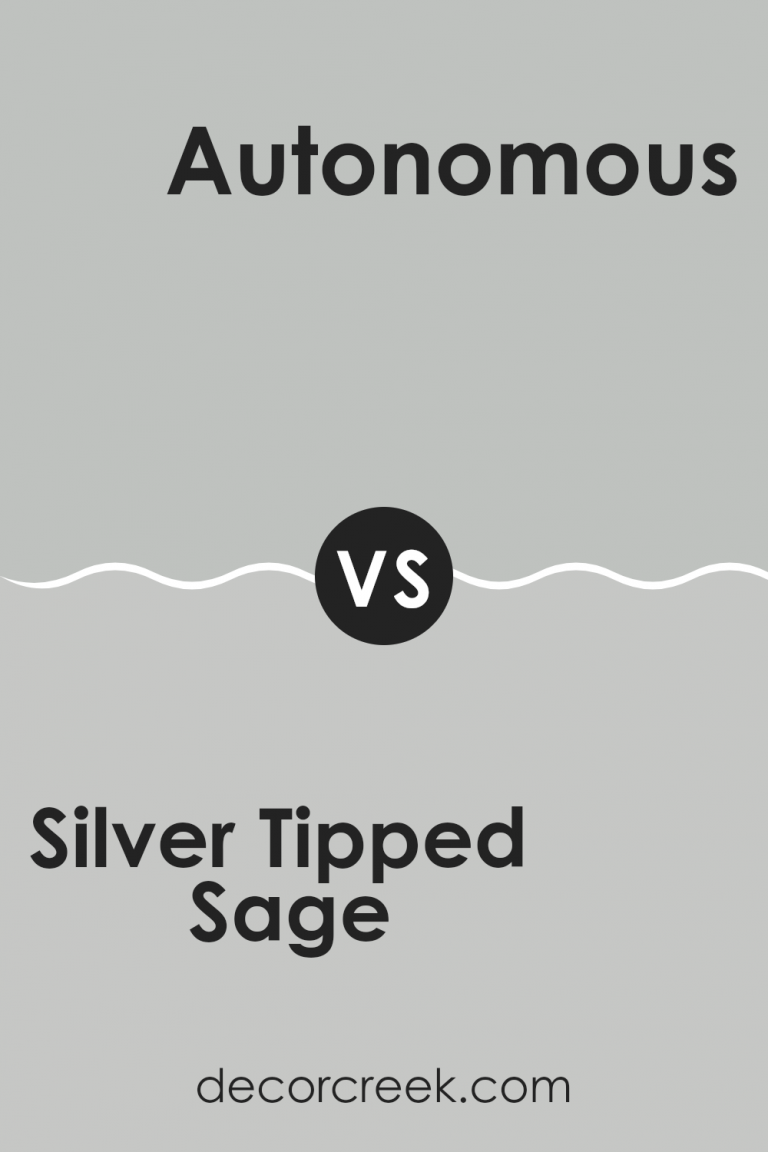 Silver Tipped Sage SW 9642 Paint Color by Sherwin Williams - DecorCreek