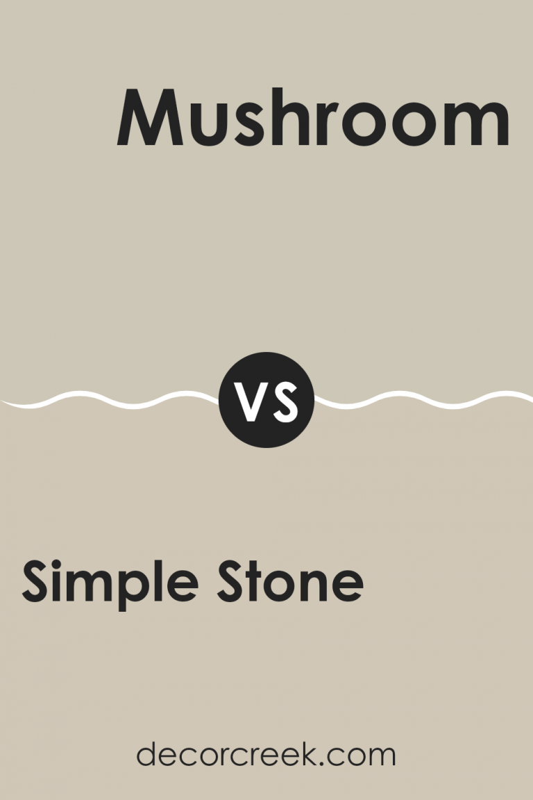 Simple Stone SW 9521 Paint Color by Sherwin Williams - DecorCreek