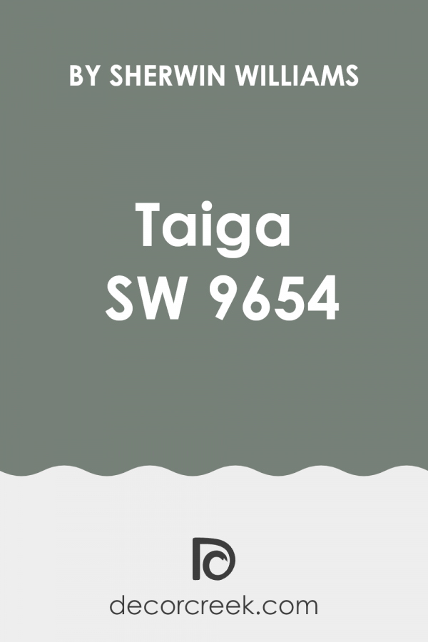 Taiga SW 9654 Paint Color by Sherwin Williams - DecorCreek