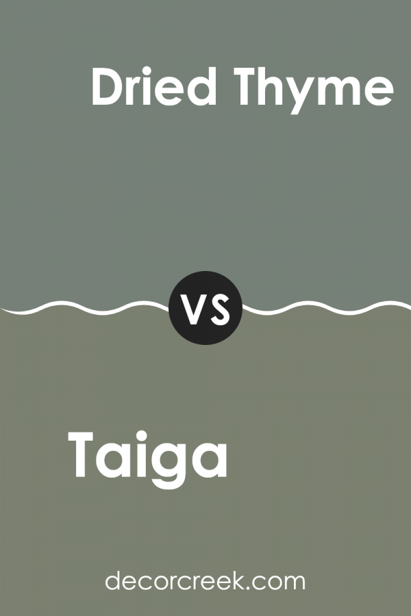 Taiga SW 9654 Paint Color by Sherwin Williams - DecorCreek