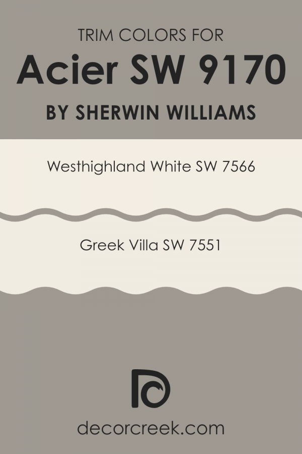 Acier SW 9170 Paint Color by Sherwin Williams - DecorCreek