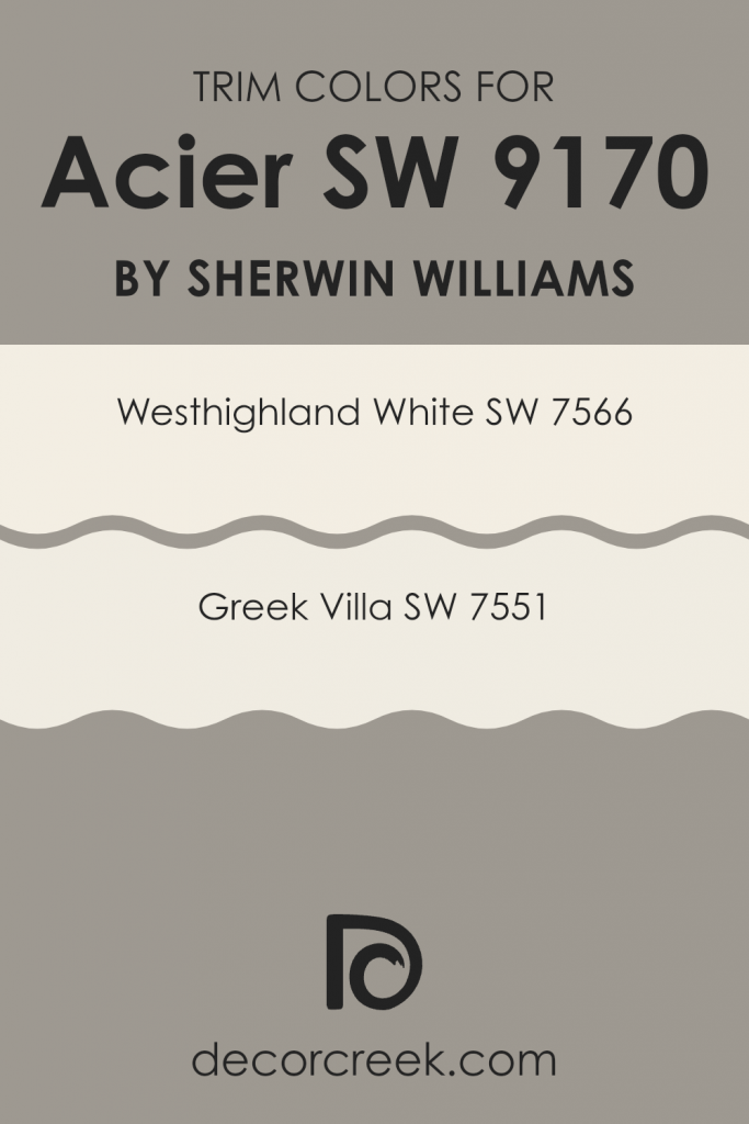 Acier SW 9170 Paint Color by Sherwin Williams - DecorCreek