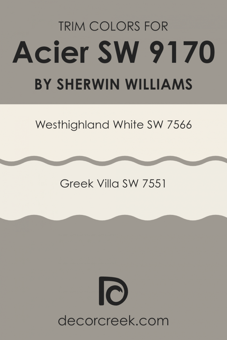 Acier SW 9170 Paint Color by Sherwin Williams - DecorCreek