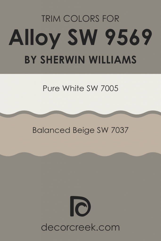 Alloy SW 9569 Paint Color by Sherwin Williams - DecorCreek