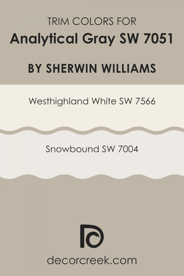 Analytical Gray SW 7051 Paint Color by Sherwin Williams - DecorCreek