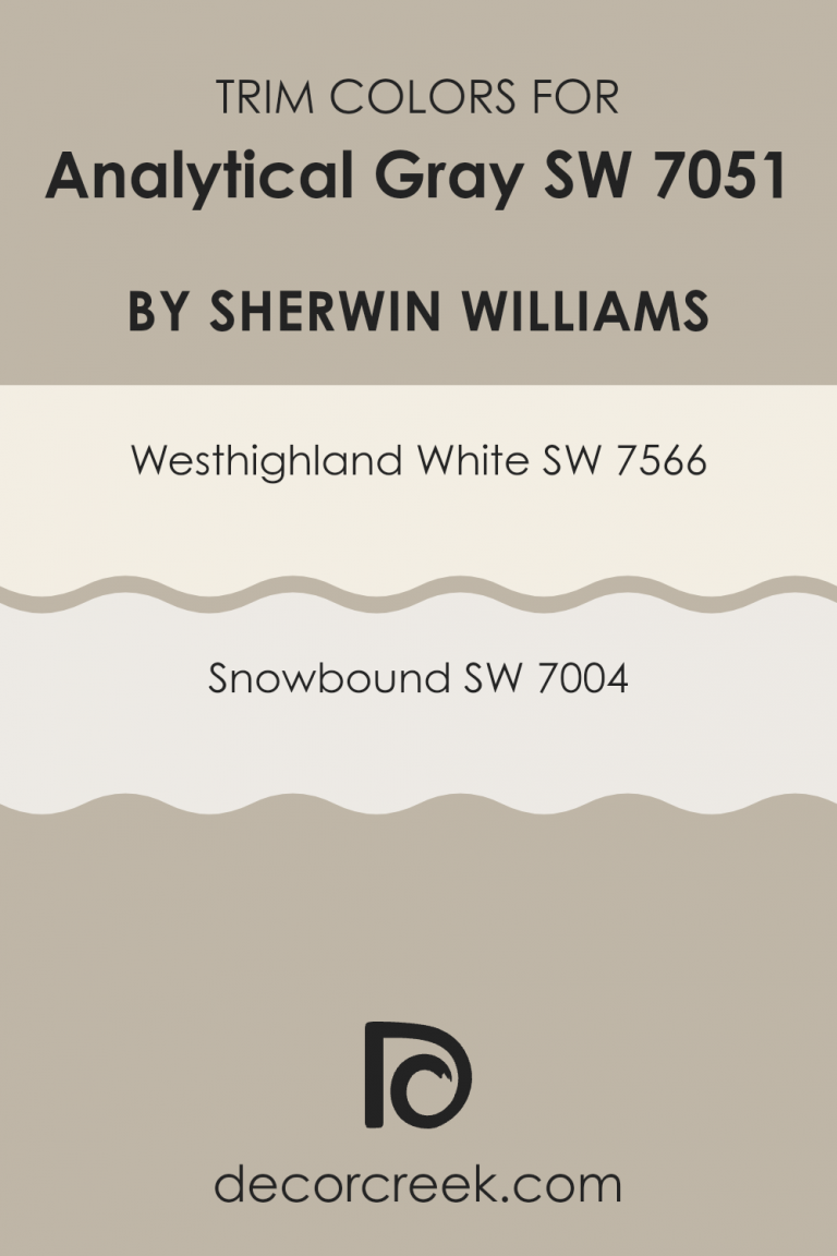 Analytical Gray SW 7051 Paint Color by Sherwin Williams - DecorCreek