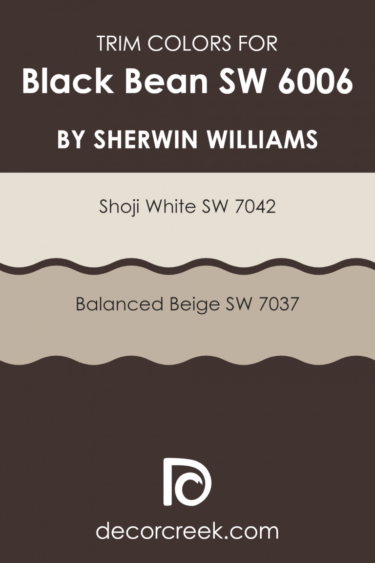 Black Bean SW 6006 Paint Color by Sherwin Williams - DecorCreek