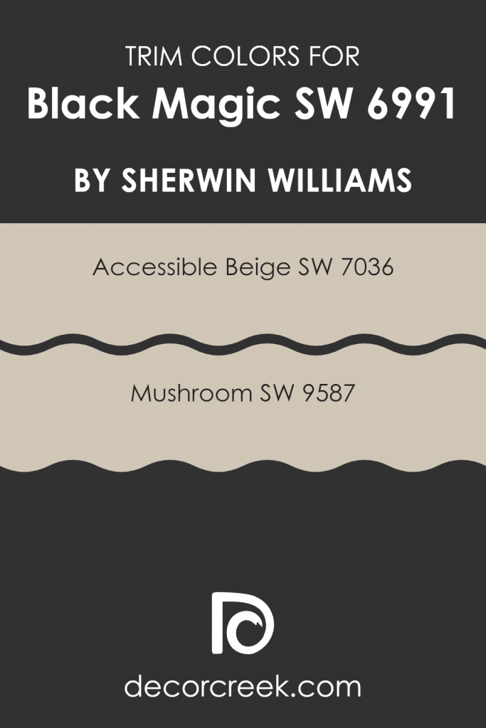 Black Magic SW 6991 Paint Color by Sherwin Williams - DecorCreek