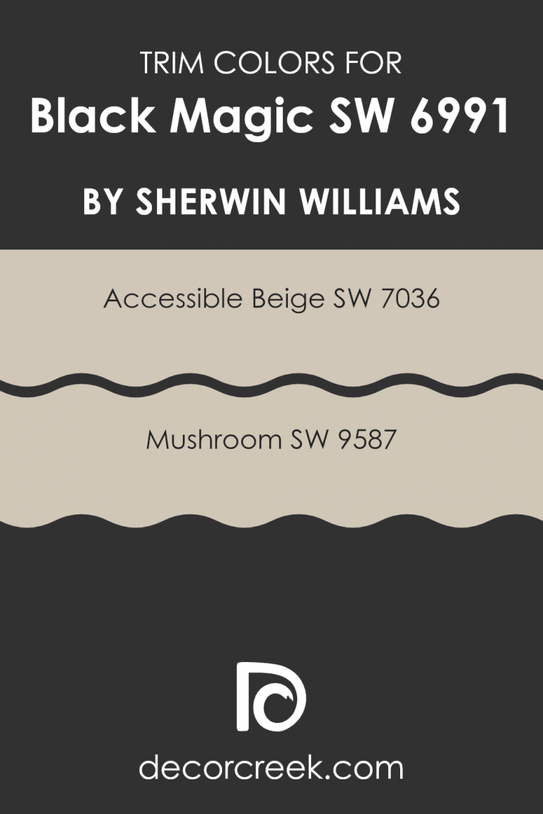 Black Magic SW 6991 Paint Color by Sherwin Williams - DecorCreek