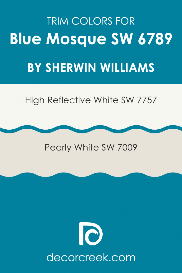 Blue Mosque SW 6789 Paint Color by Sherwin Williams - DecorCreek