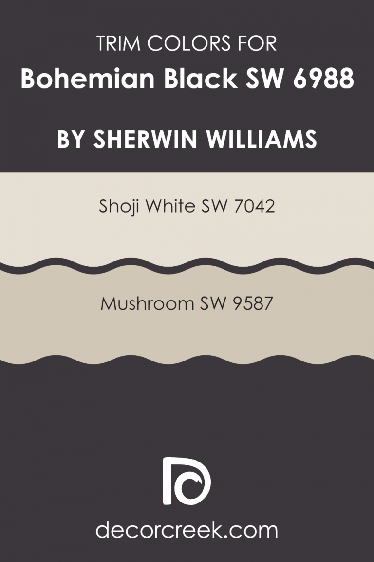 Bohemian Black SW 6988 Paint Color by Sherwin Williams - DecorCreek