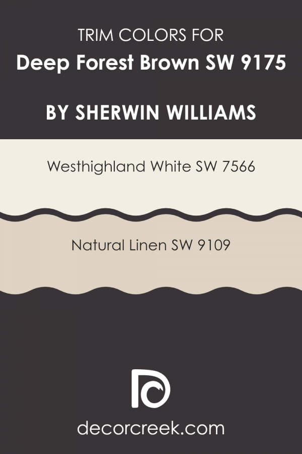 Deep Forest Brown SW 9175 Paint Color by Sherwin Williams - DecorCreek