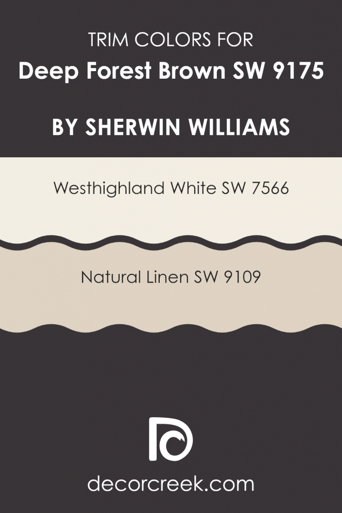Deep Forest Brown SW 9175 Paint Color by Sherwin Williams - DecorCreek