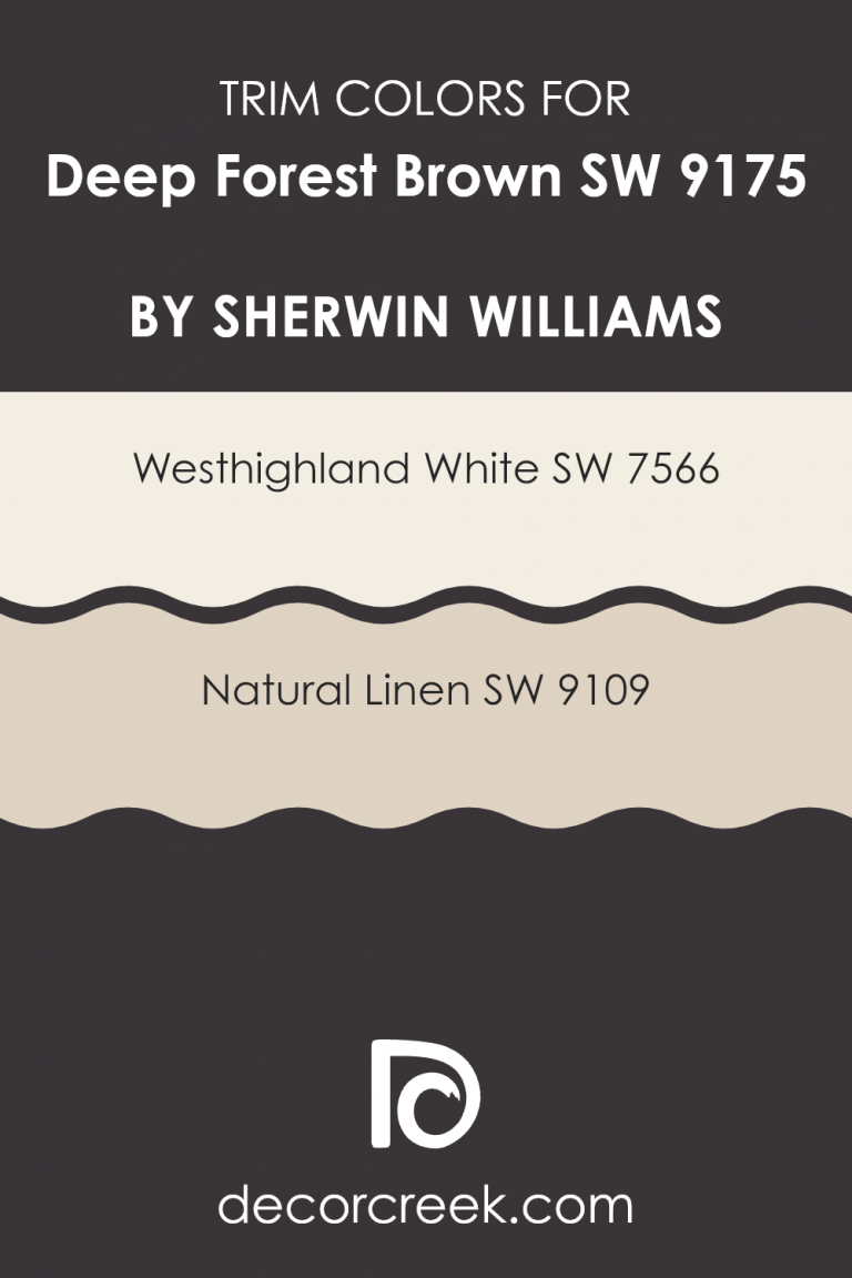 Deep Forest Brown SW 9175 Paint Color by Sherwin Williams - DecorCreek
