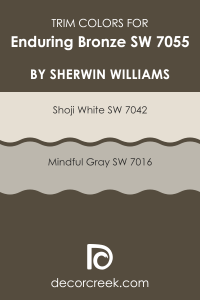 Enduring Bronze SW 7055 Paint Color by Sherwin Williams - DecorCreek