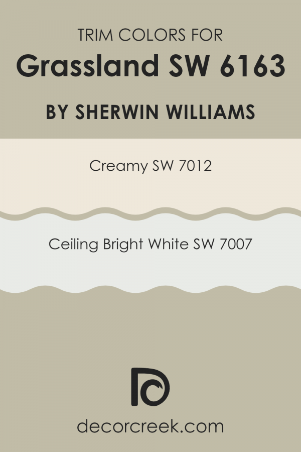 Grassland SW 6163 Paint Color by Sherwin Williams - DecorCreek