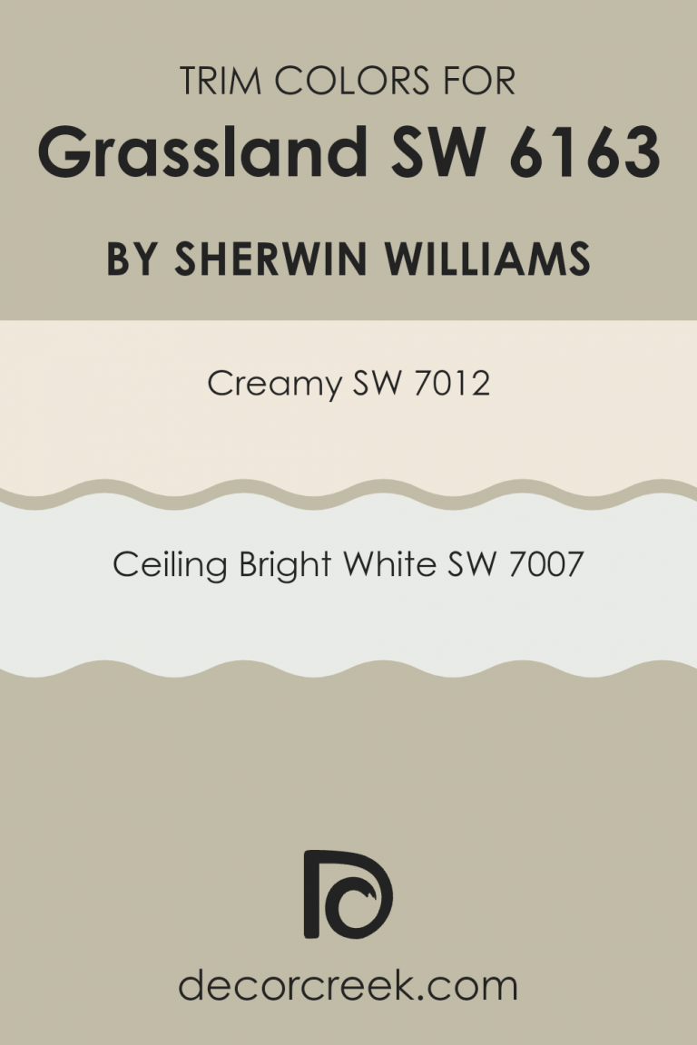 Grassland SW 6163 Paint Color by Sherwin Williams - DecorCreek