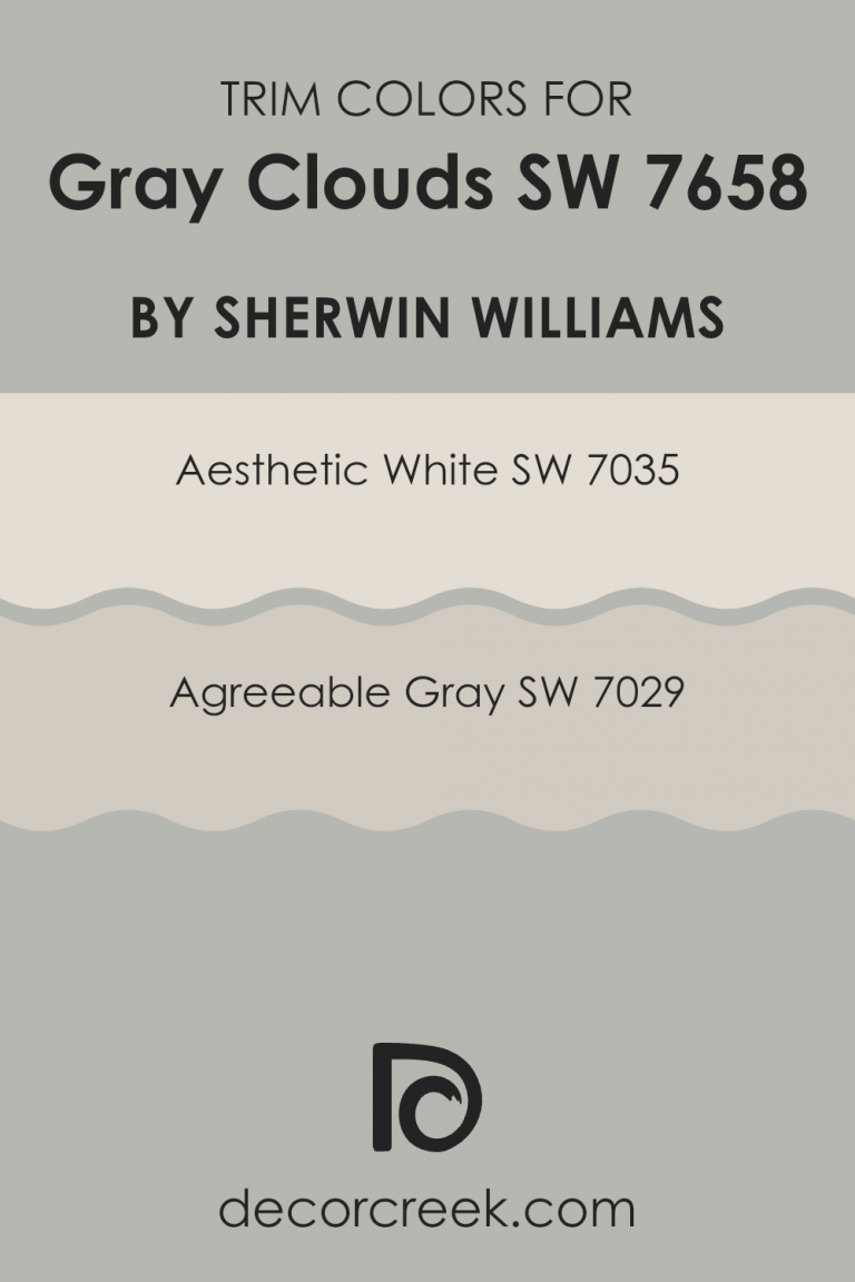 Gray Clouds SW 7658 Paint Color by Sherwin Williams - DecorCreek