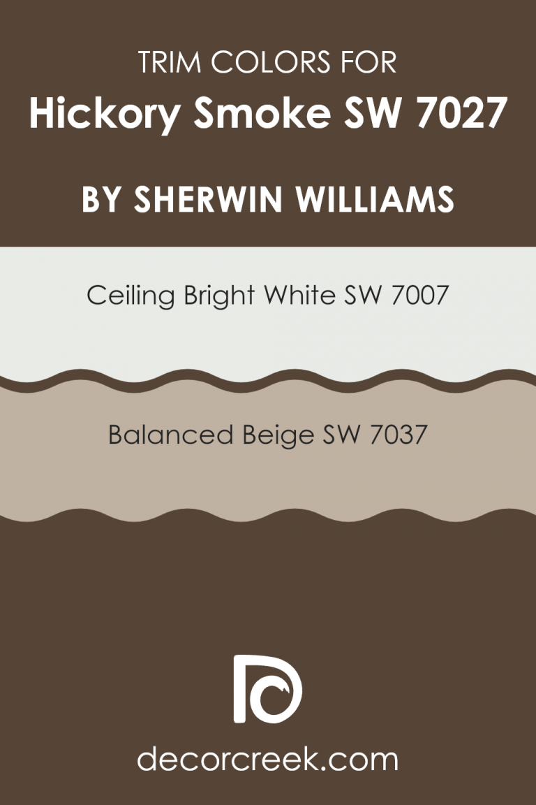 Hickory Smoke SW 7027 Paint Color by Sherwin Williams - DecorCreek
