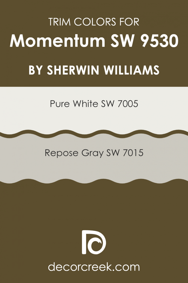 Momentum SW 9530 Paint Color by Sherwin Williams - DecorCreek