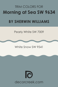 Morning at Sea SW 9634 Paint Color by Sherwin Williams - DecorCreek