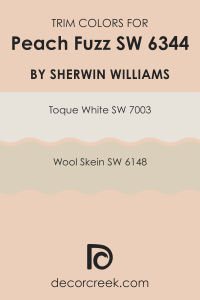 Peach Fuzz SW 6344 Paint Color by Sherwin Williams - DecorCreek