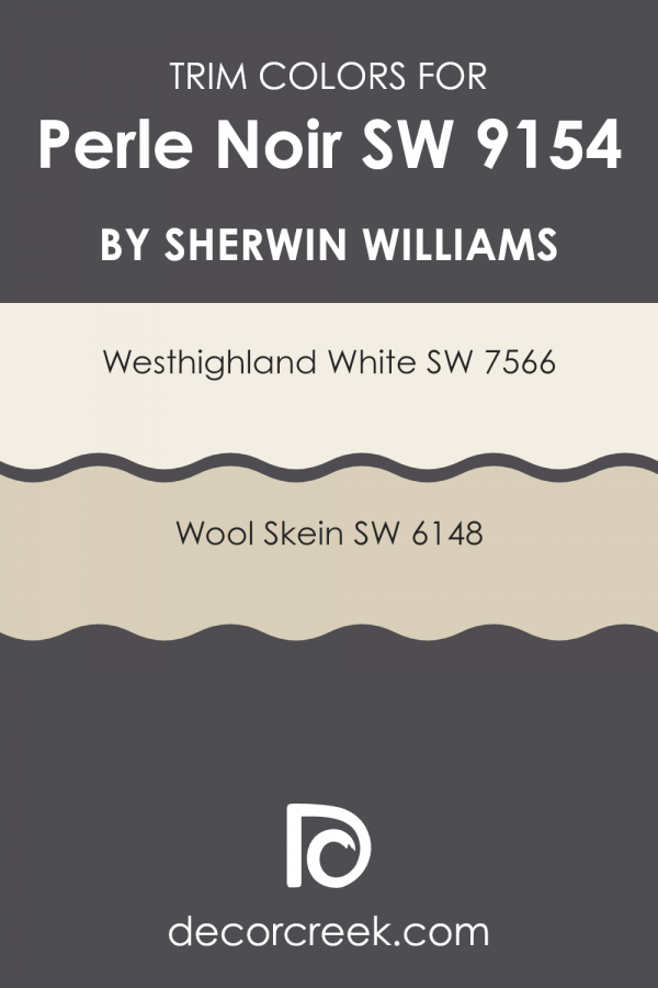 Perle Noir SW 9154 Paint Color by Sherwin Williams - DecorCreek
