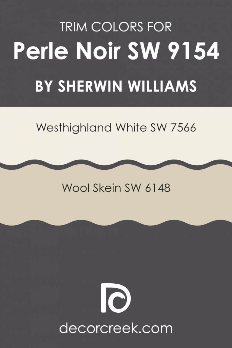 Perle Noir SW 9154 Paint Color by Sherwin Williams - DecorCreek