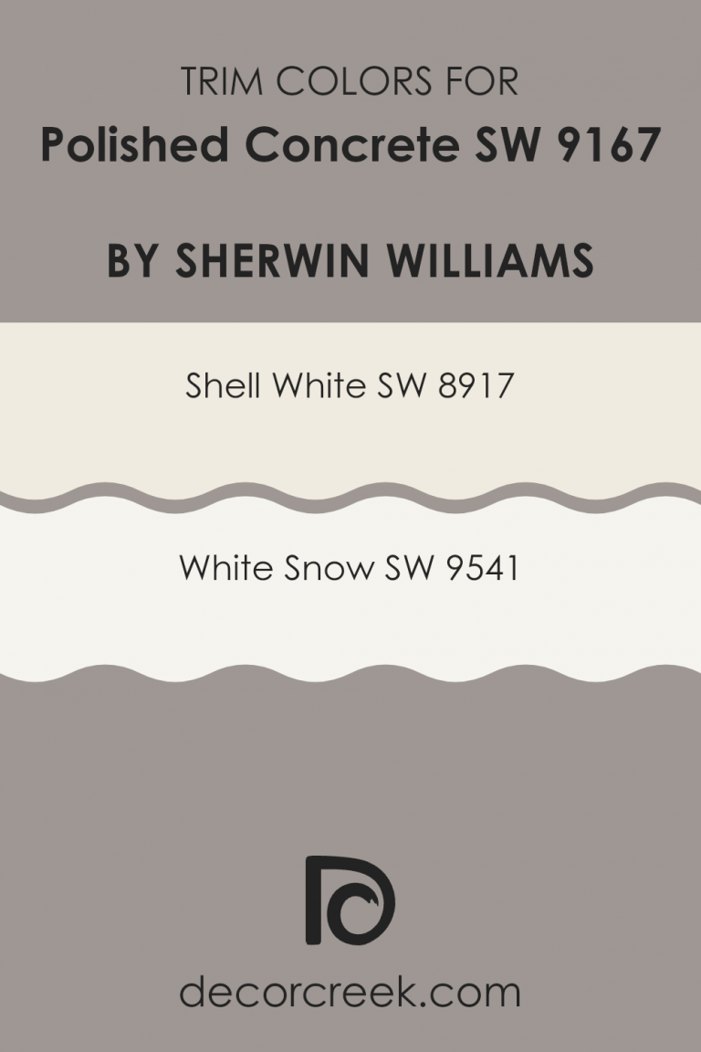 Polished Concrete SW 9167 Paint Color by Sherwin Williams - DecorCreek