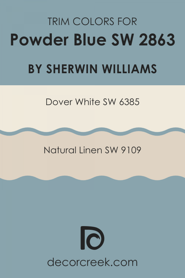 Powder Blue SW 2863 Paint Color by Sherwin Williams - DecorCreek