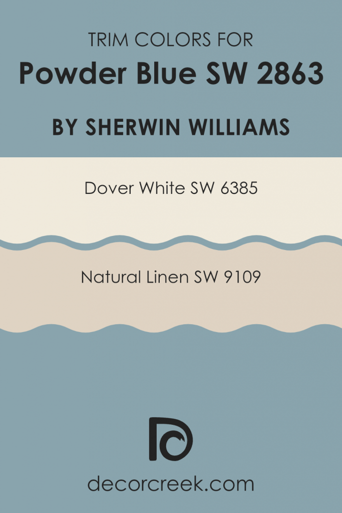 Powder Blue SW 2863 Paint Color by Sherwin Williams - DecorCreek