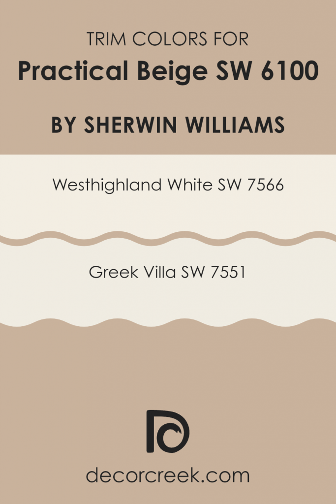 Practical Beige SW 6100 Paint Color by Sherwin Williams - DecorCreek