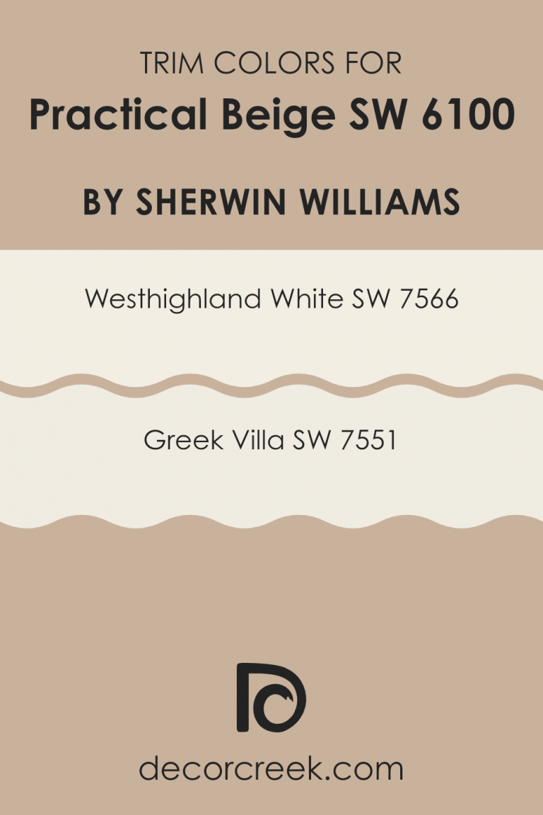Practical Beige SW 6100 Paint Color by Sherwin Williams - DecorCreek