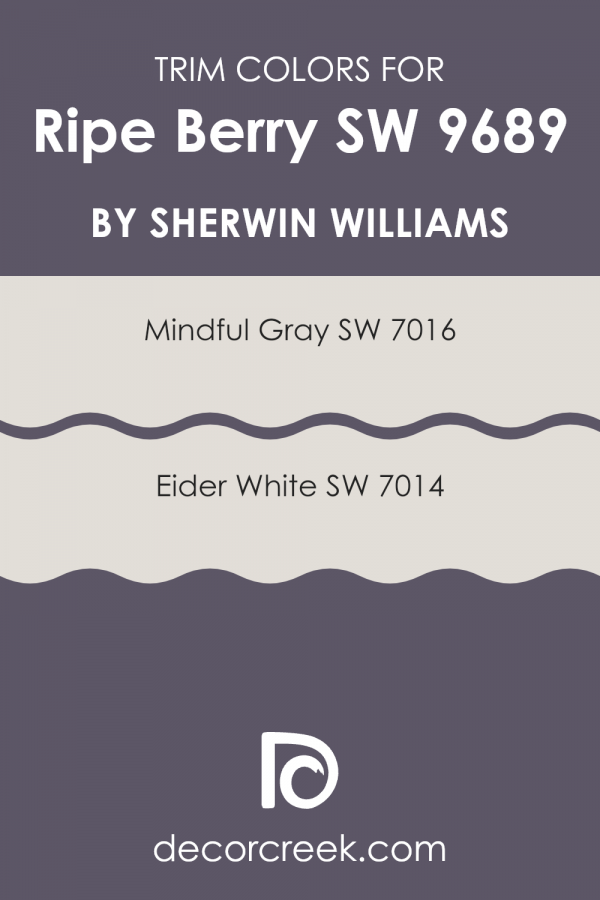 Ripe Berry SW 9689 Paint Color by Sherwin Williams - DecorCreek