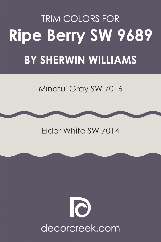 Ripe Berry SW 9689 Paint Color by Sherwin Williams - DecorCreek