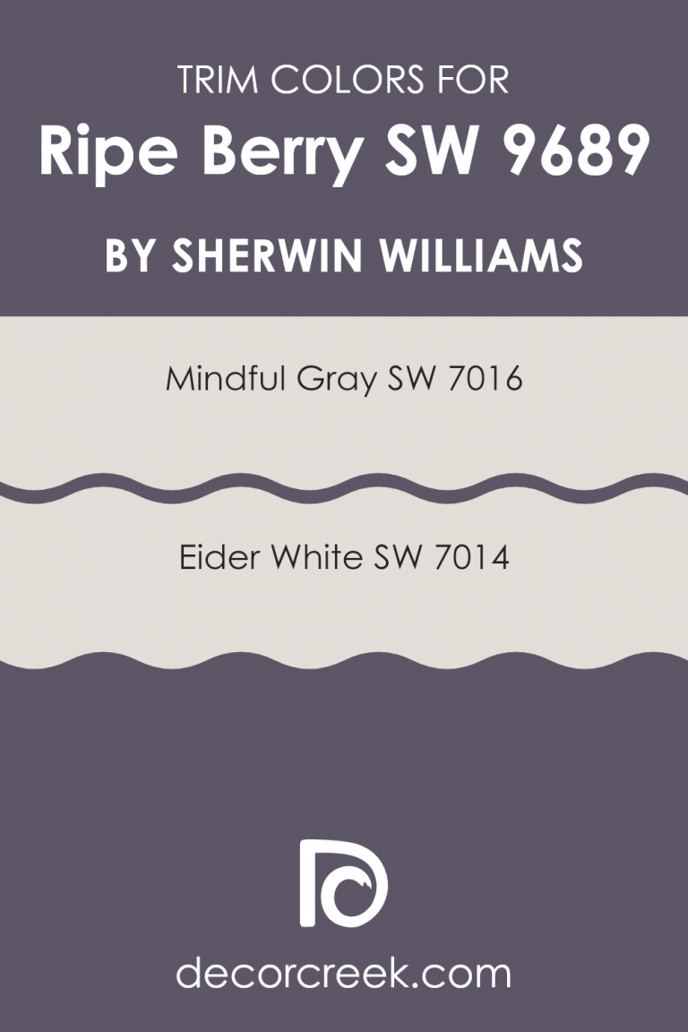 Ripe Berry SW 9689 Paint Color by Sherwin Williams - DecorCreek