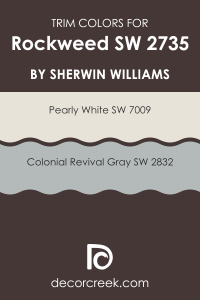 Rockweed SW 2735 Paint Color by Sherwin Williams - DecorCreek