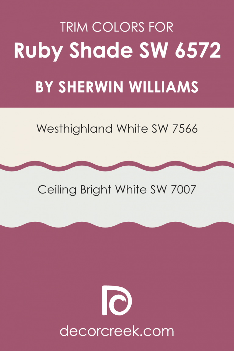 Ruby Shade SW 6572 Paint Color by Sherwin Williams - DecorCreek