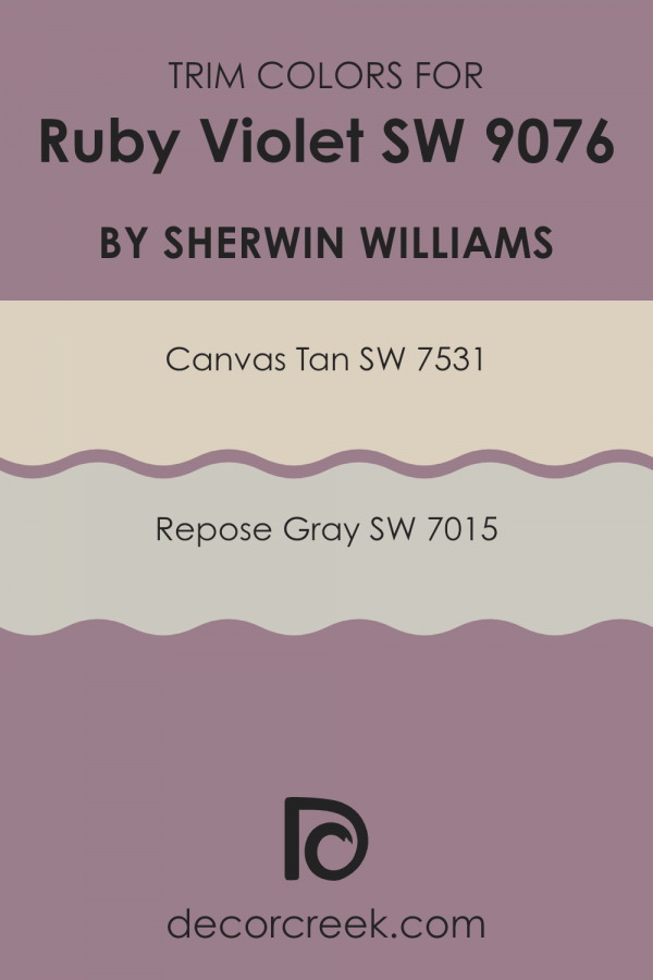 Ruby Violet SW 9076 Paint Color by Sherwin Williams - DecorCreek