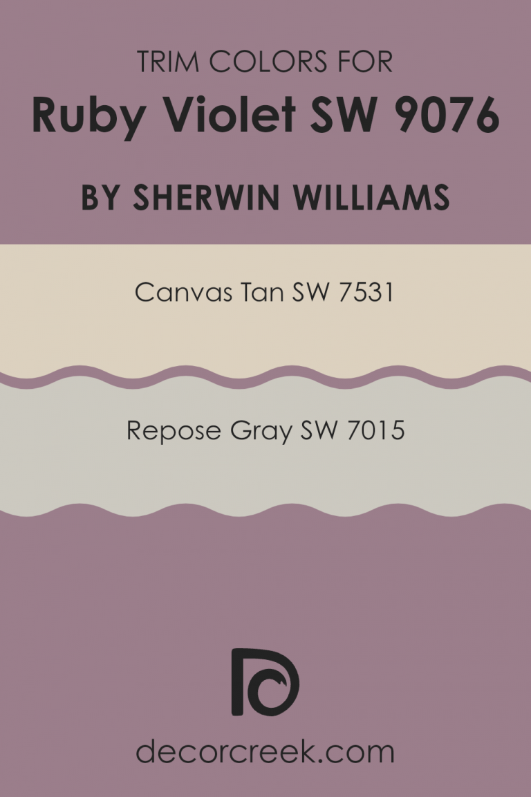 Ruby Violet SW 9076 Paint Color by Sherwin Williams - DecorCreek