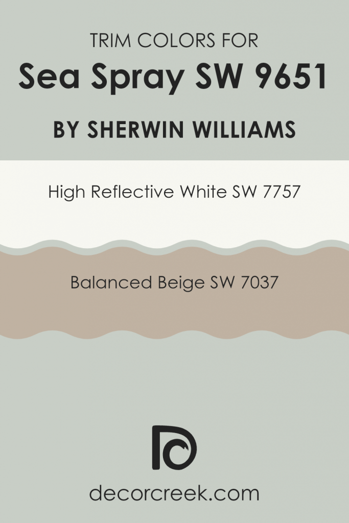 Sea Spray SW 9651 Paint Color by Sherwin Williams - DecorCreek