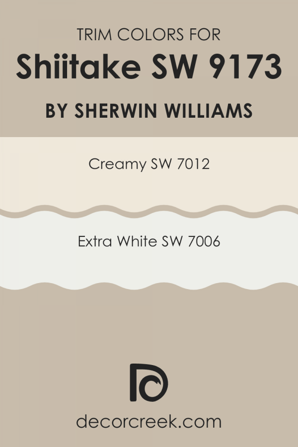 Shiitake SW 9173 Paint Color by Sherwin Williams - DecorCreek
