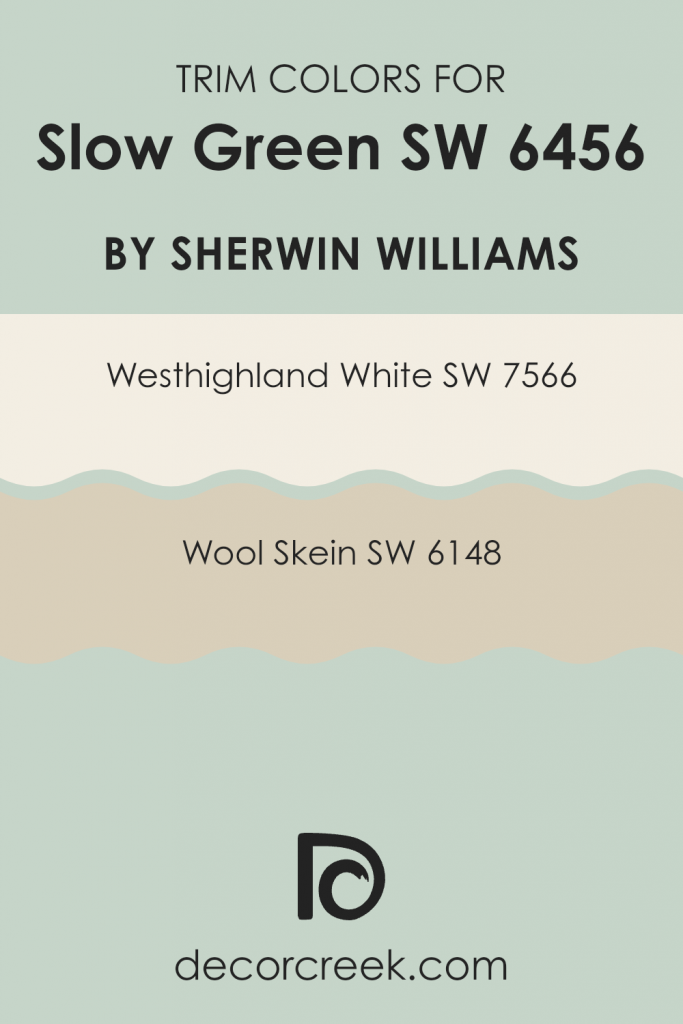 Slow Green SW 6456 Paint Color by Sherwin Williams - DecorCreek