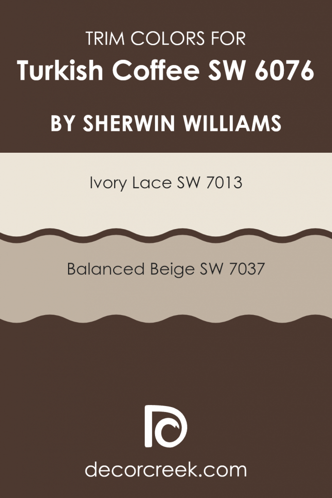Turkish Coffee SW 6076 Paint Color by Sherwin Williams - DecorCreek