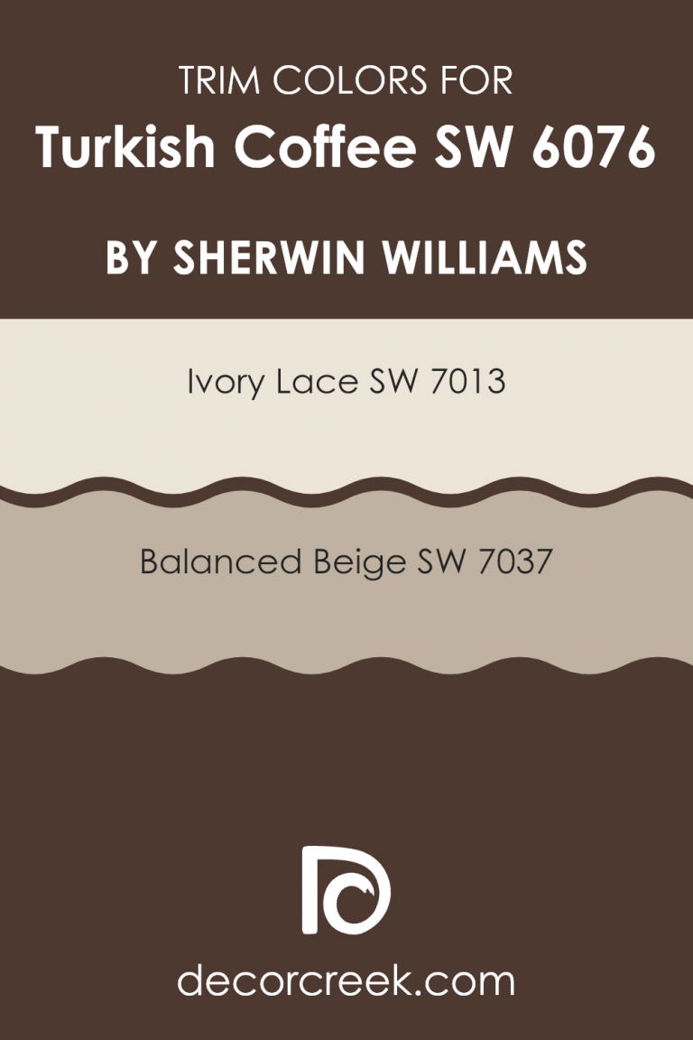Turkish Coffee SW 6076 Paint Color by Sherwin Williams - DecorCreek