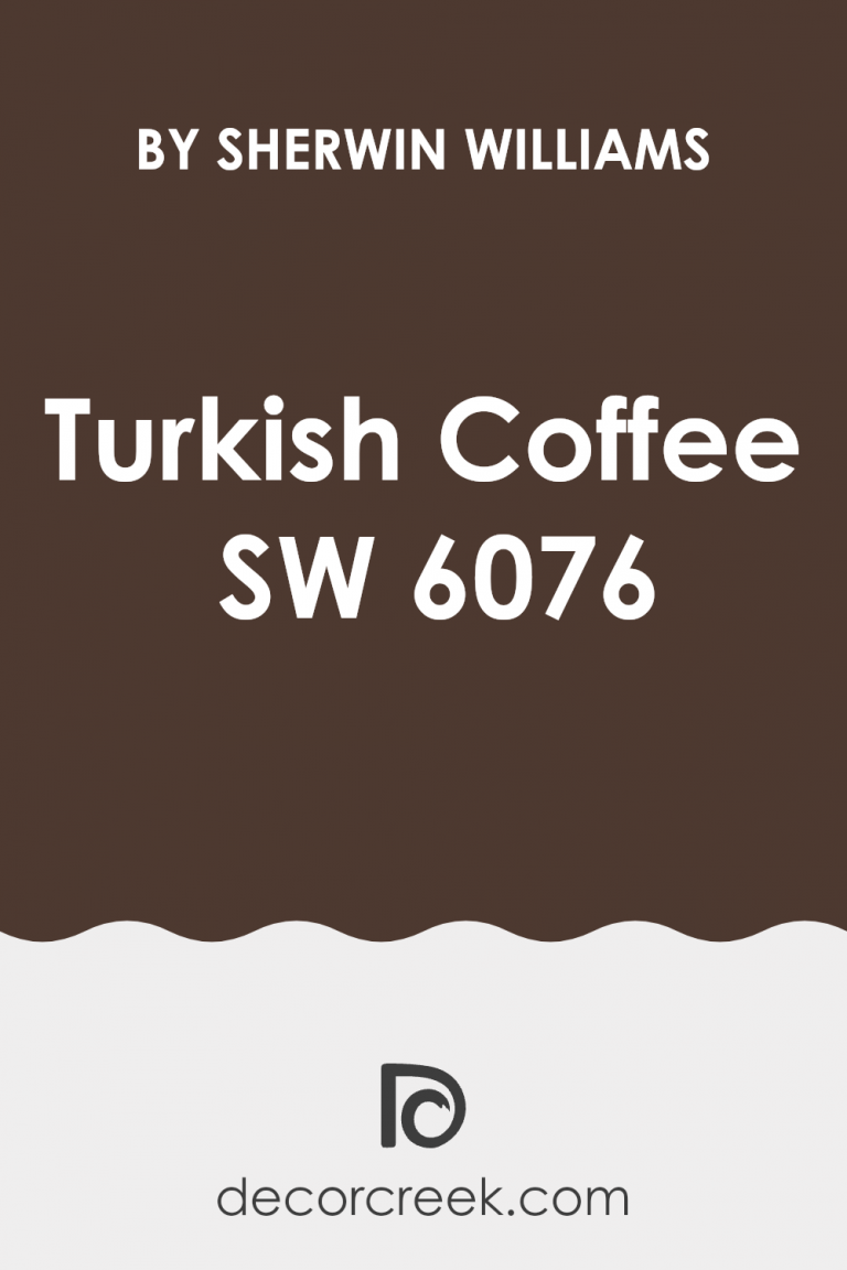 Turkish Coffee SW 6076 Paint Color by Sherwin Williams - DecorCreek